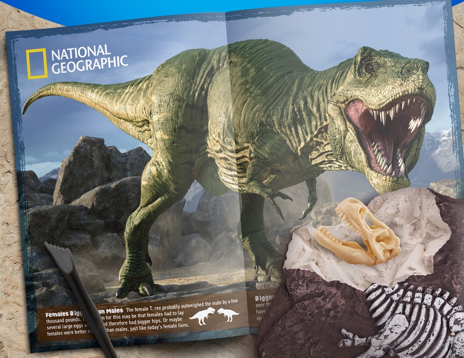 Žaislai vaikams | Žaislai internetu | Žaislų Planeta